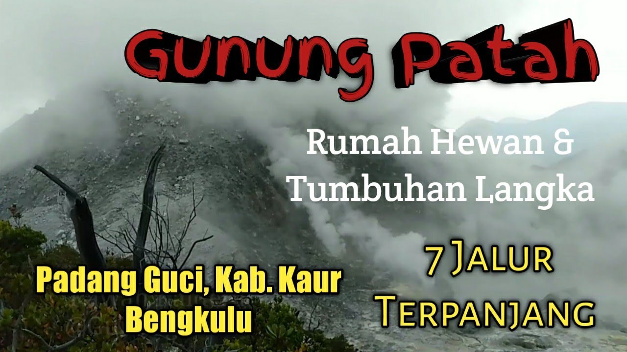 Gunung Patah di Bengkulu Memiliki Jalur Pendakian Ekstrem - YouTube