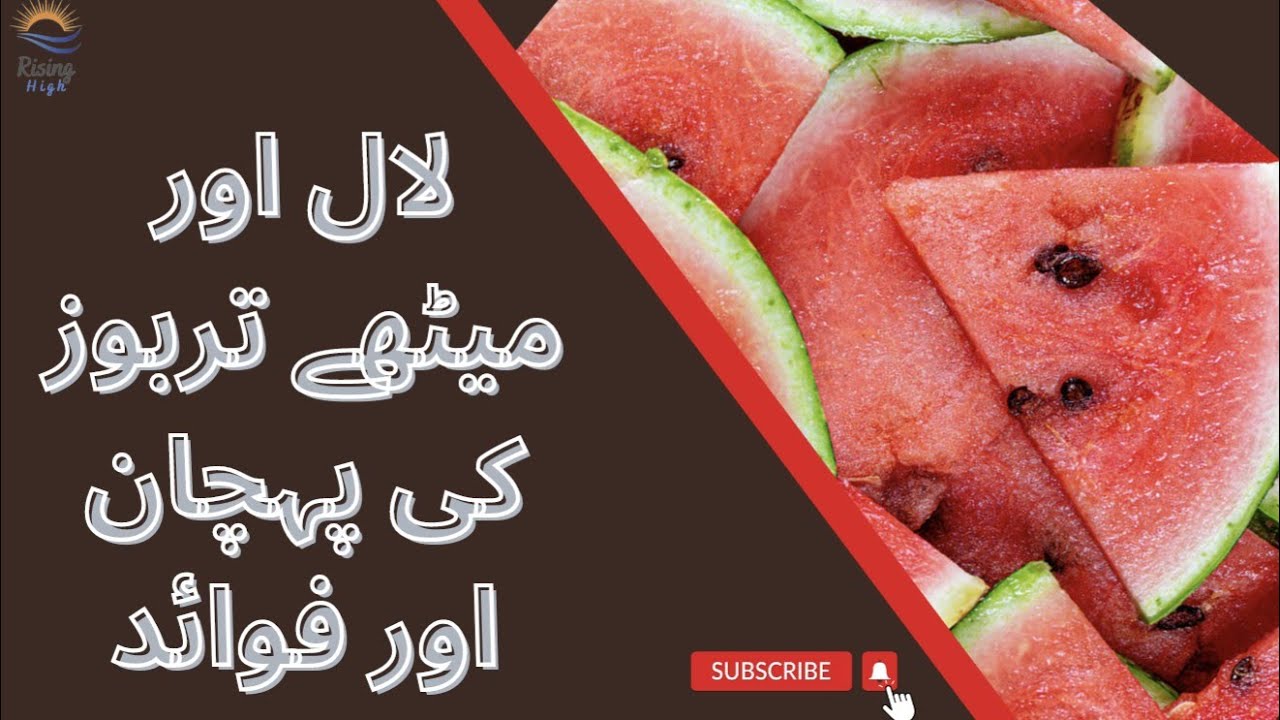 BENEFITS OF WATERMELON 🍉 | DR. TEHSEEN AKHTAR - YouTube