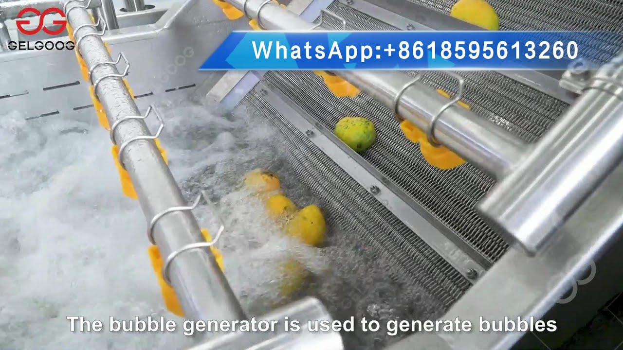 Industrial Mango Washing Machine Cost for Factory Process - YouTube
