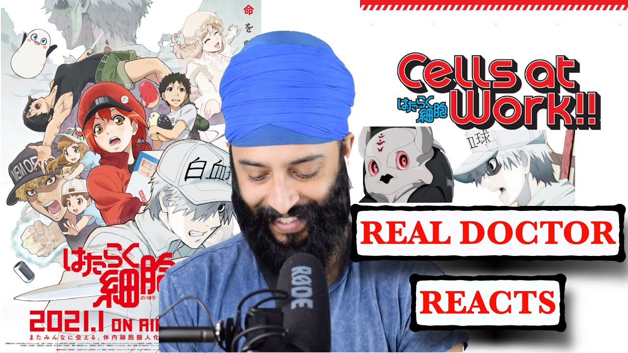 REAL DOCTOR REACTS | CELLS AT WORK | SEASON 2 | EPISODE 1 - YouTube