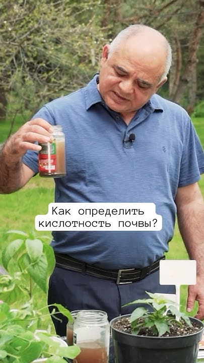Как определить кислотность почвы Отвечает профессор Мамедов Борис