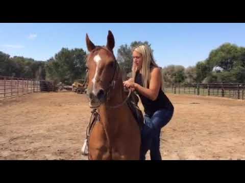18-20 yr old chest mare ride - YouTube