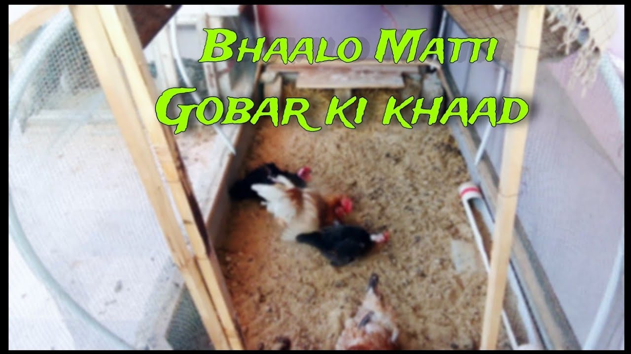 Bhaalo Matti or Gobar ki khaad || New Bedding - YouTube
