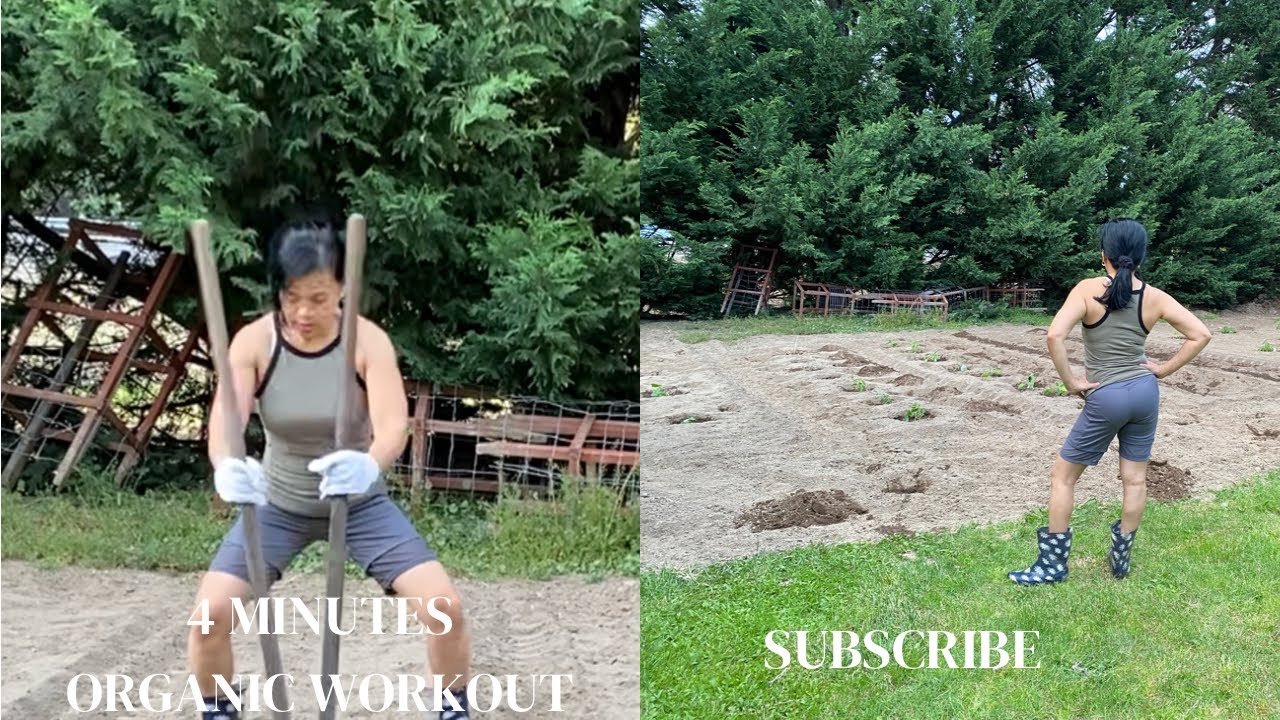 4 MIN ORGANIC WORKOUT WITH PRO FITNESS BING - YouTube