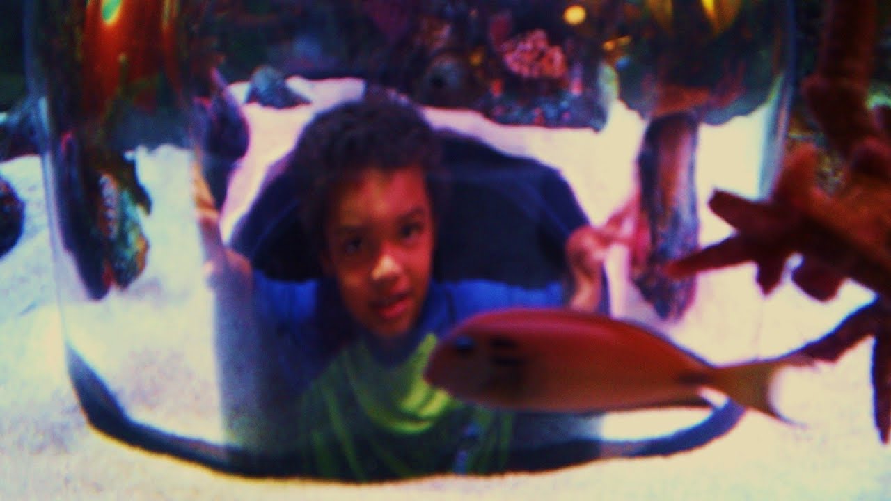 Sea Life Aquarium, Kansas City, KS, with Sam - YouTube