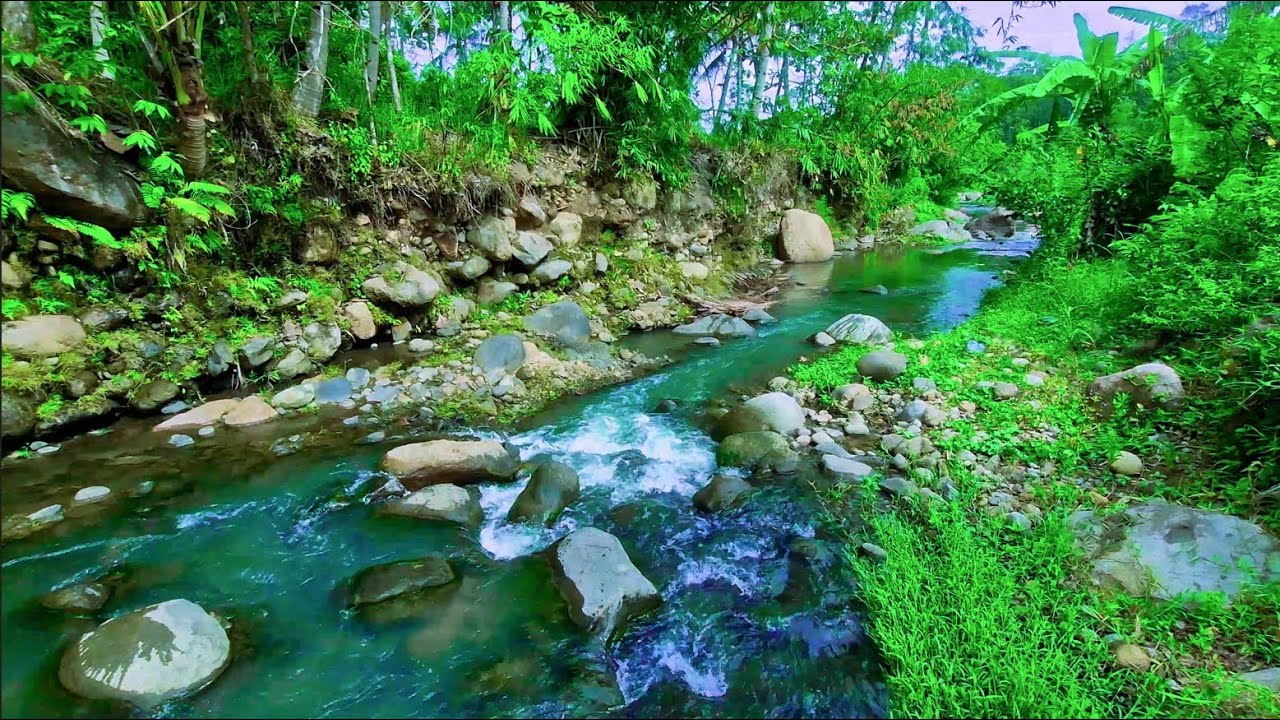 A peaceful mountain stream, winding through a serene forest, is the ...