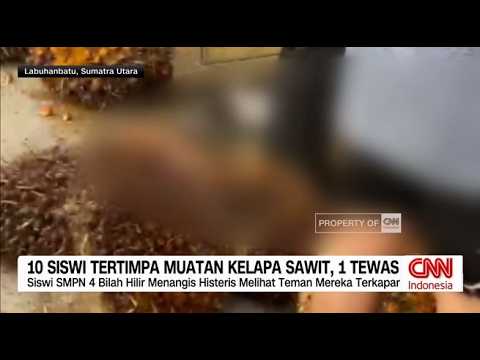 10 Siswi Tertimpa Muatan Kelapa Sawit, Satu Tewas