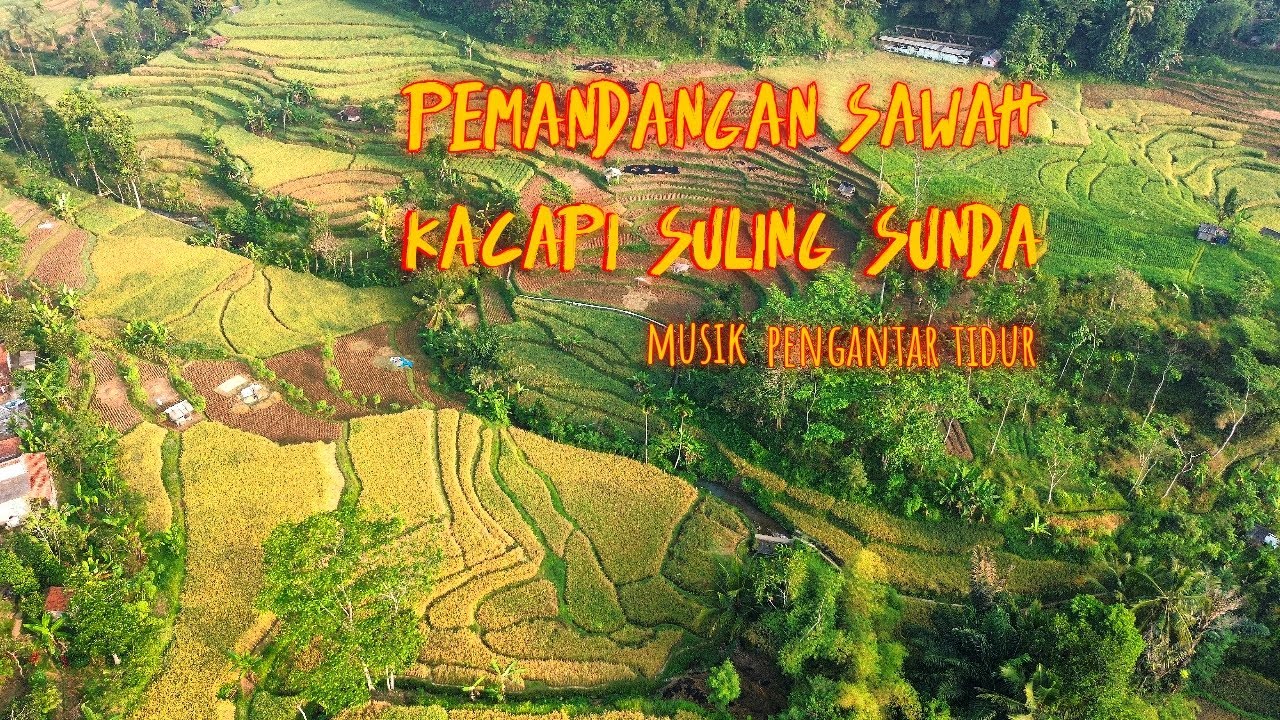 Pemandangan sawah |kacapi suling sunda| musik pengantar tidur #sawah # ...