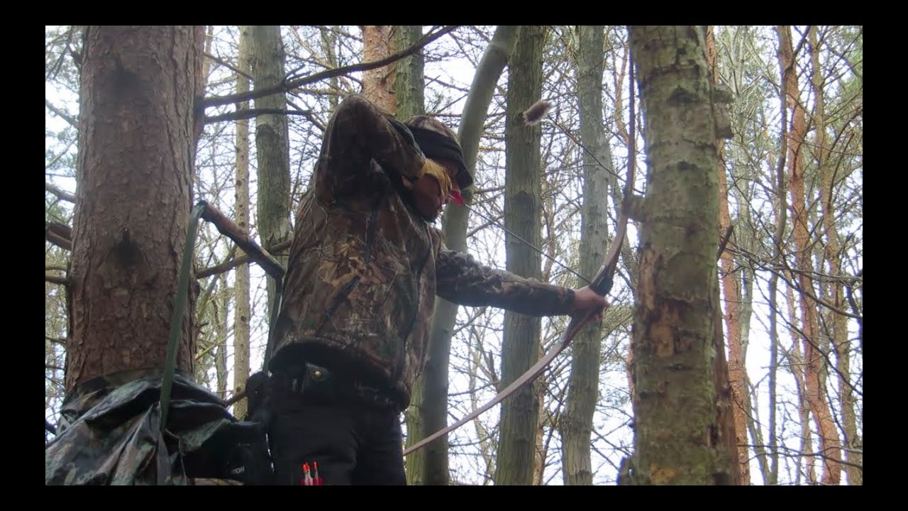 Field Archery, Tree Stands, Camp Fire - YouTube