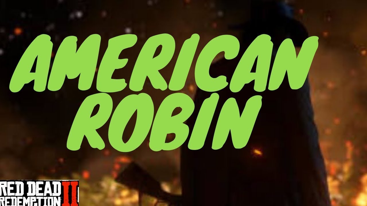 Red Dead Redemption 2 American Robin - YouTube