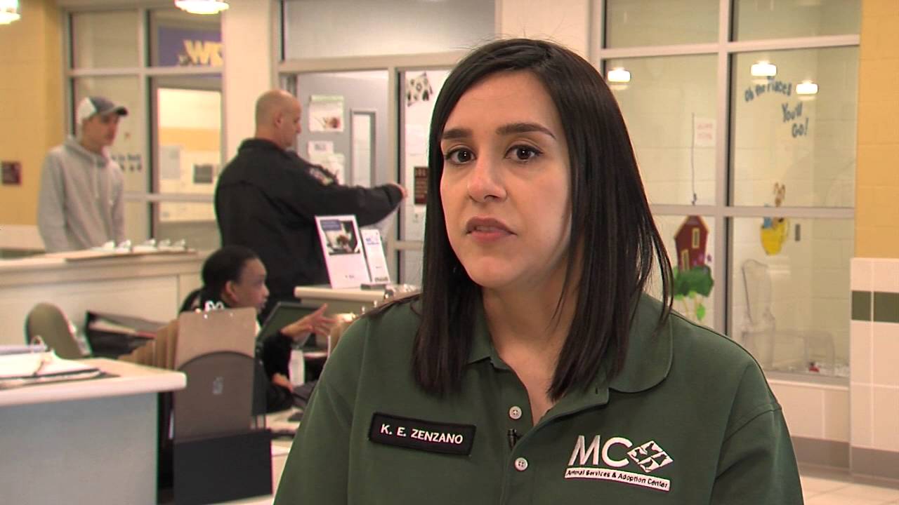 Rescue Groups Support MoCo Animal Shelter's Efforts - YouTube