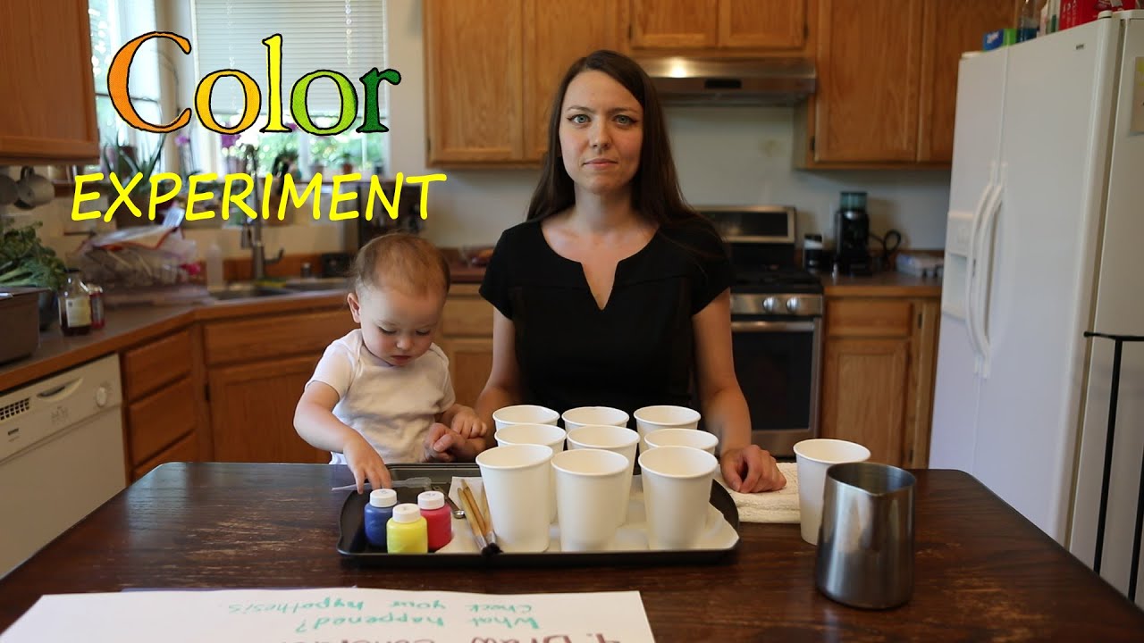 Color Experiment | STEM Activity to do AT HOME - YouTube