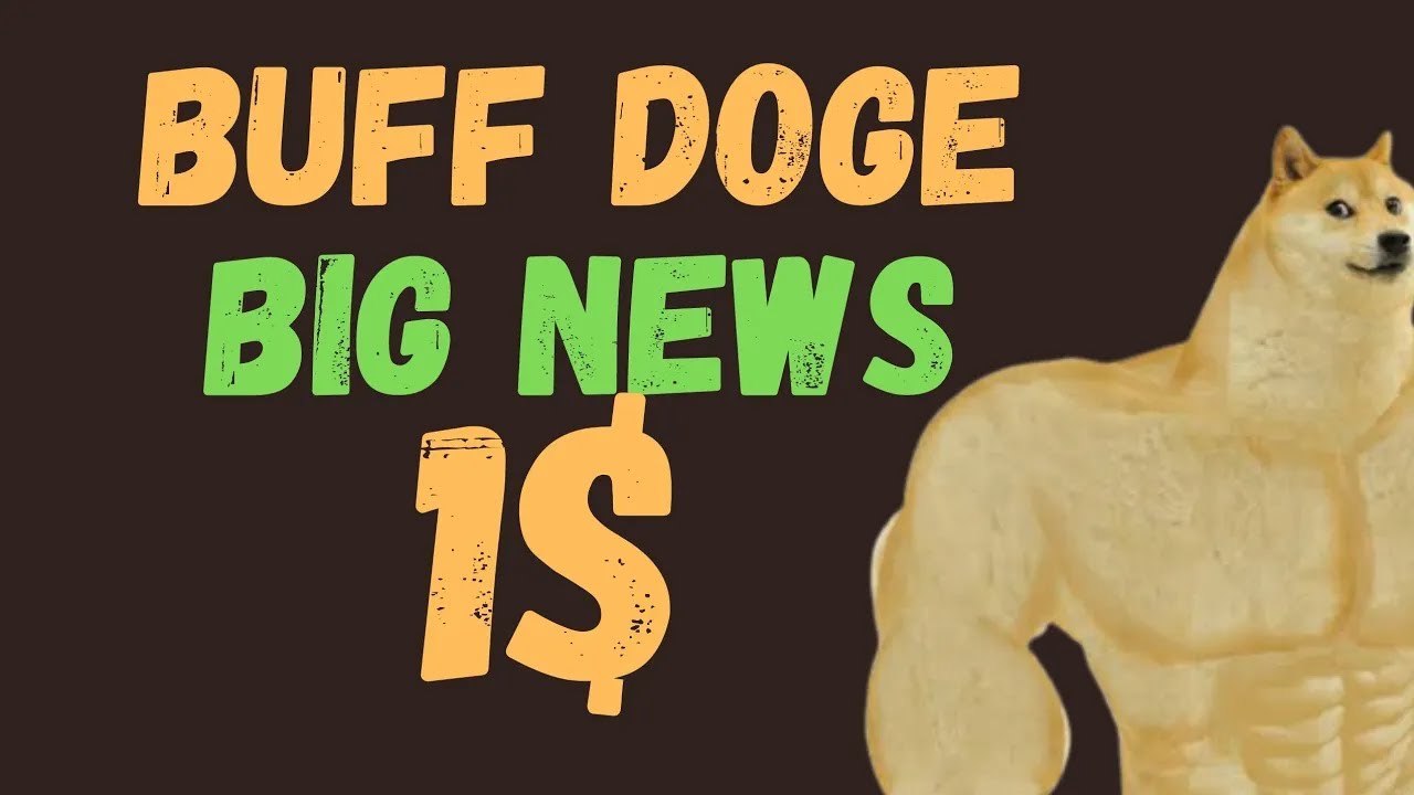 Buff Dogecoin Updates | Buff Doge Coin News Today | Buff Doge Coin ...