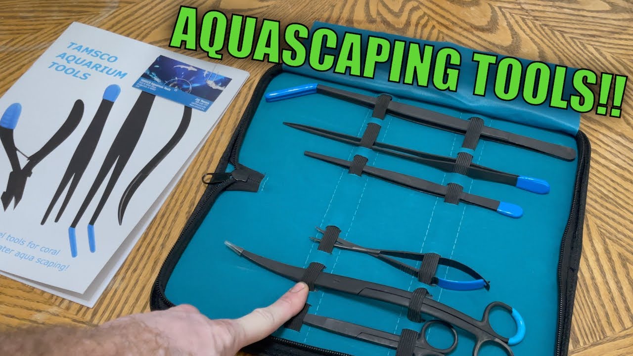 Aquascaping Tools Kit by Tamsco Aquarium Tools! - YouTube
