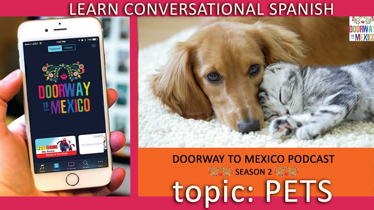 Spanish conversation about Pets - YouTube