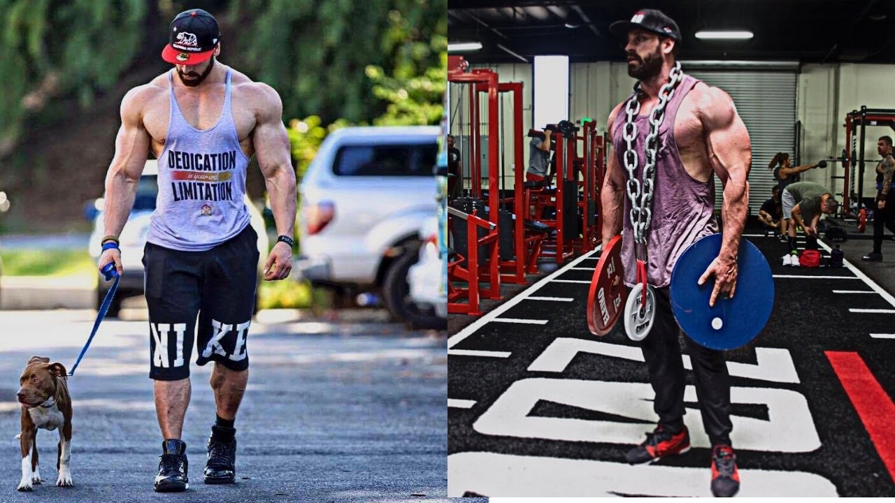 NEXT LEVEL🔥💪 BODYBUILDING😱 - Bradley Martyn - YouTube
