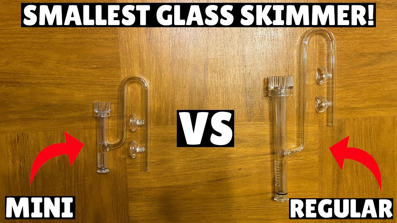 The SMALLEST Glass Skimmer! - FZONE Nano Lilly Pipe Set - YouTube