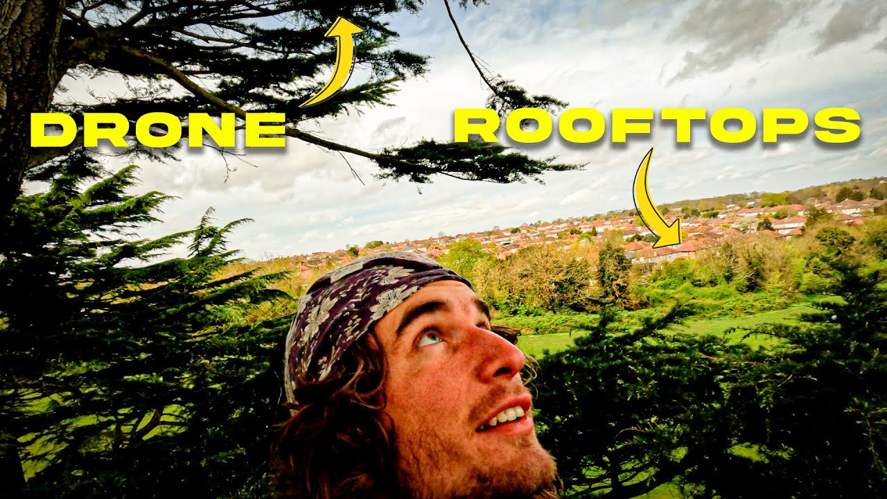 Retrieving my FPV Drone from the most Dangerous Tree in London - YouTube