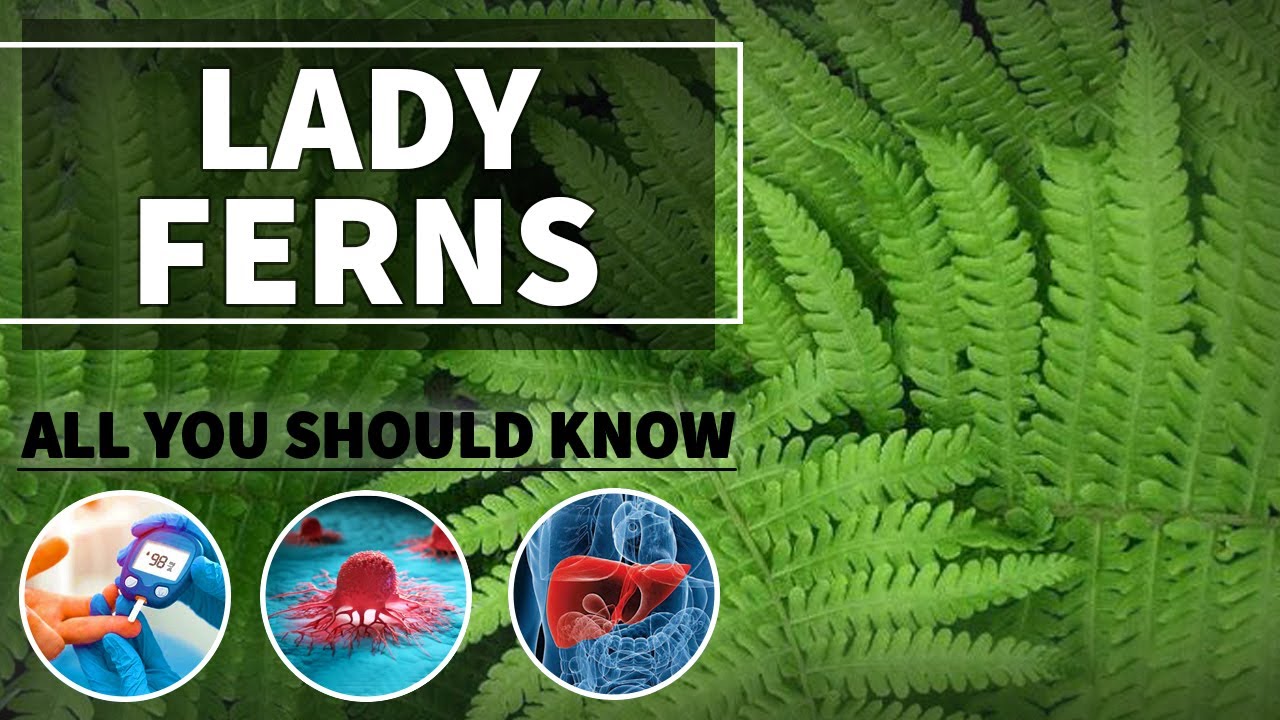 LADY FERNS Health BENEFITS 💚 100% Natural Plant Based Diet - YouTube