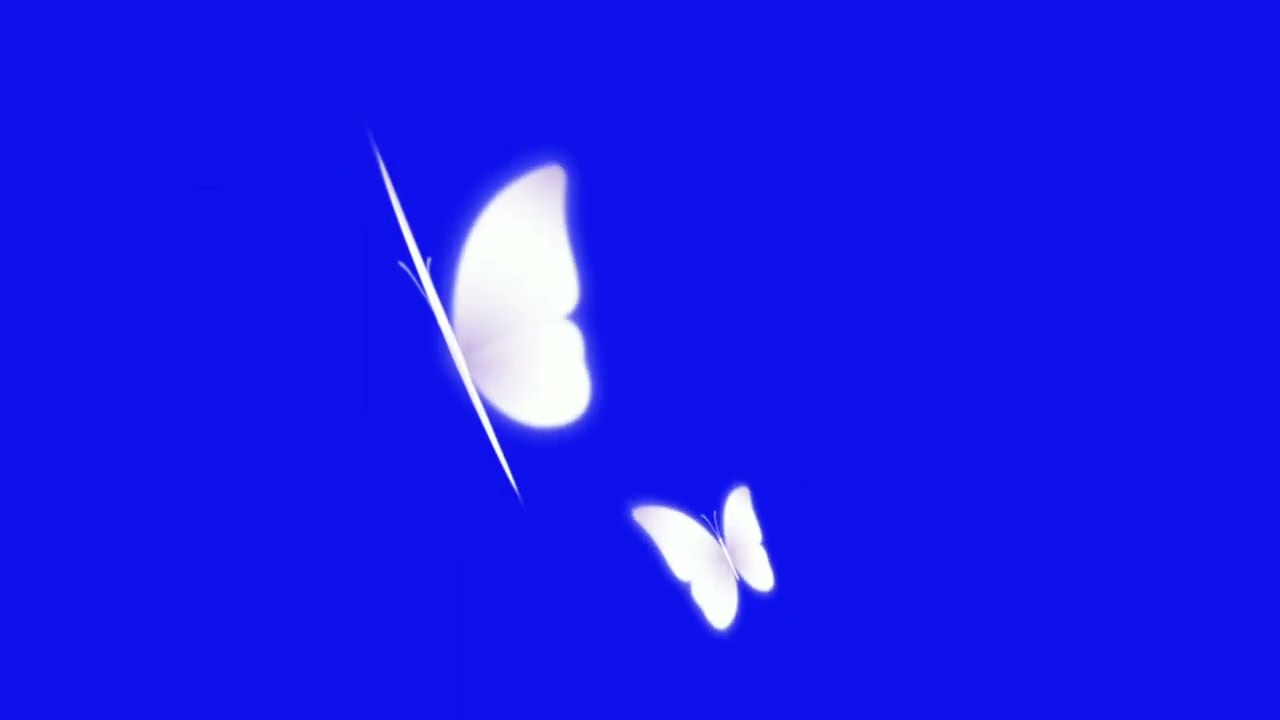 Blue Screen Effect Background Butterfly No Copyright Claim Video - YouTube