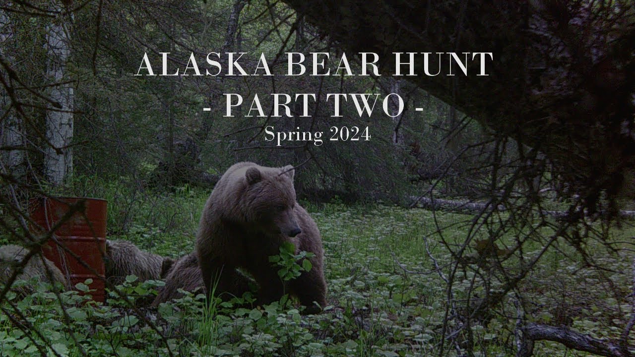 Alaska Grizzly/Black Bear Hunt - S1 E2 - May 2024 - YouTube
