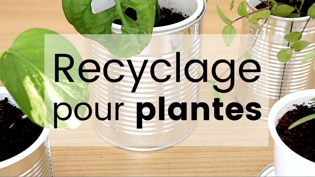 DIY Recyclage créatif - 3 astuces pour vos plantes d'intérieur | Tuto ...