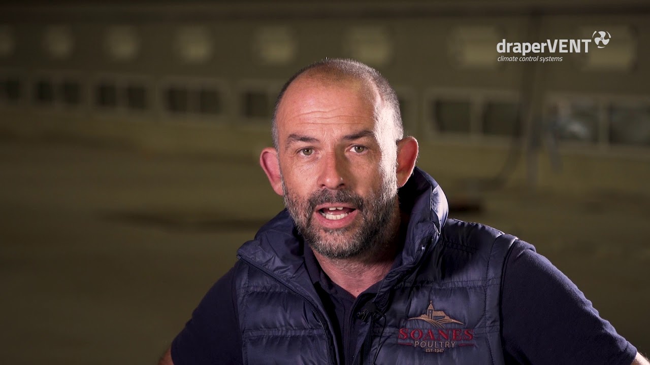 draperGROUP - Testimonial - Mark Ireland - Soanes Poultry - YouTube