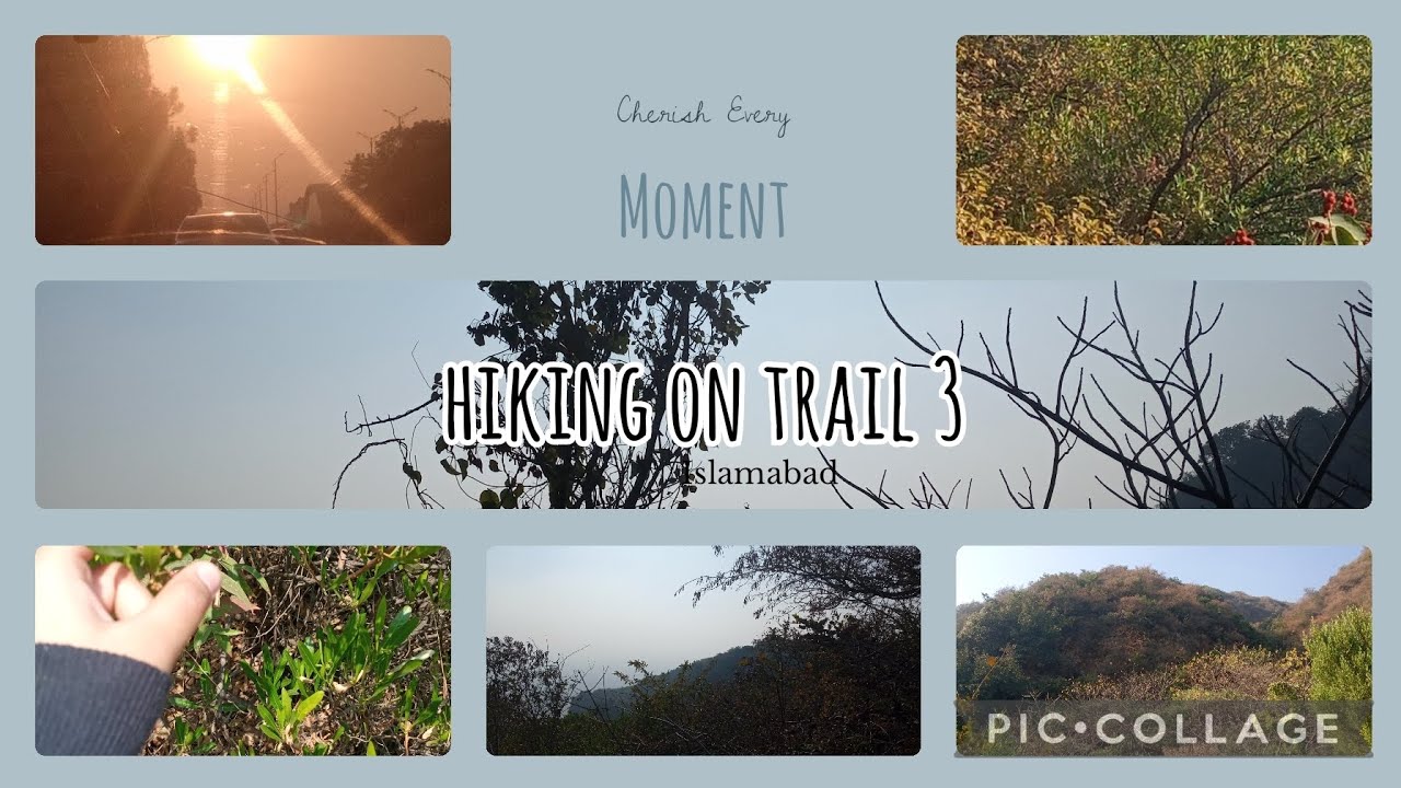hiking vlog // hiking on trail no. 3 - YouTube