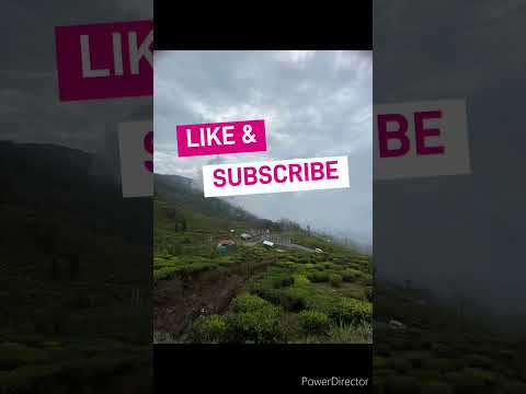 Gumbadara VIEW Homestay Tinchule
