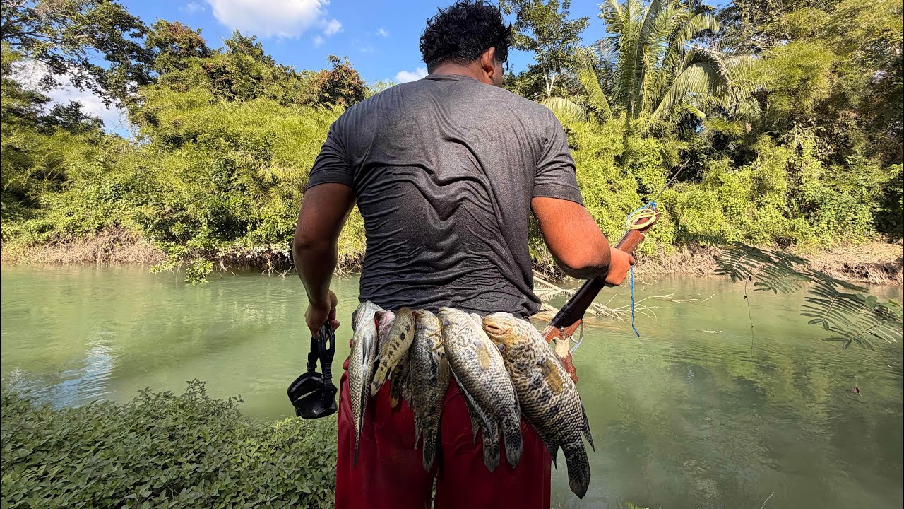 Pesca de guapotes mojarras y más con arpón, hicimos una buena cocina 😋 ...