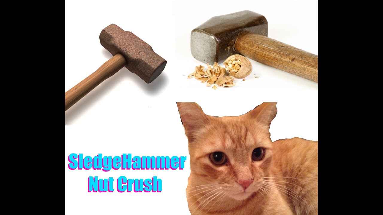Sledgehammer Nut Crush - YouTube