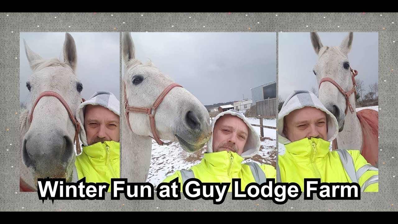 Merlin Le Grande - Video 160 (Winter Fun at Guy Lodge Farm) - YouTube