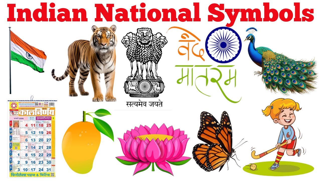 Indian National Symbols | Bharat ke Rashtriya Chinh | National Symbols ...