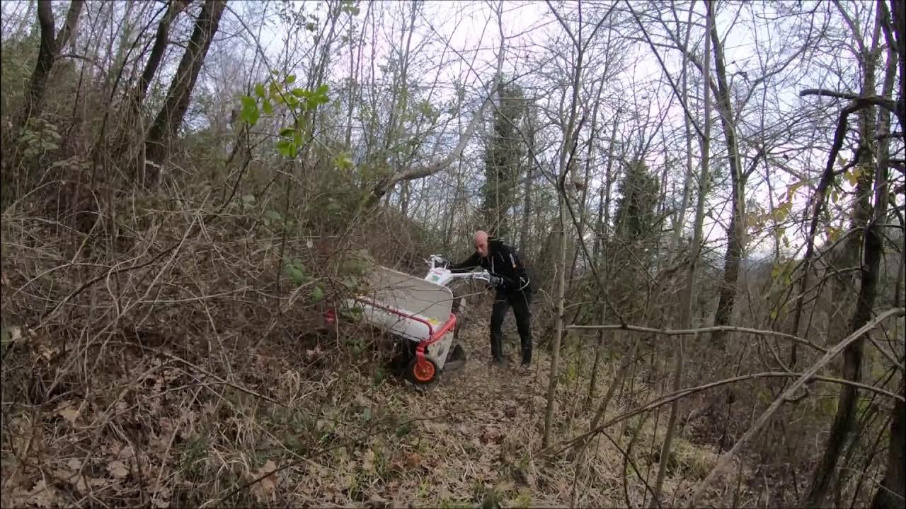 Orec trinciasarmenti HRC663 HRC673 - YouTube