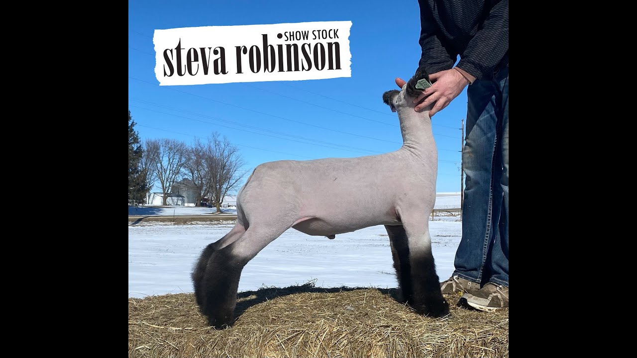 Steva Robinson Show Stock - The Main Event Consignment - YouTube