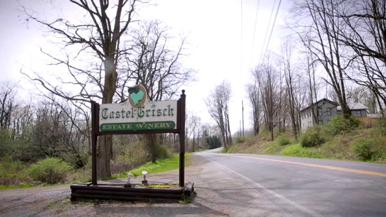 Interview with Michelle Underdown of Castel Grisch Winery - YouTube