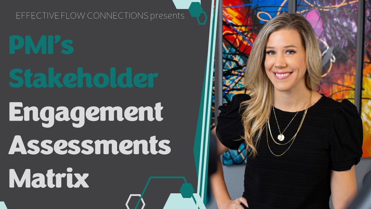 PMI's Stakeholder Engagement Assessment - YouTube