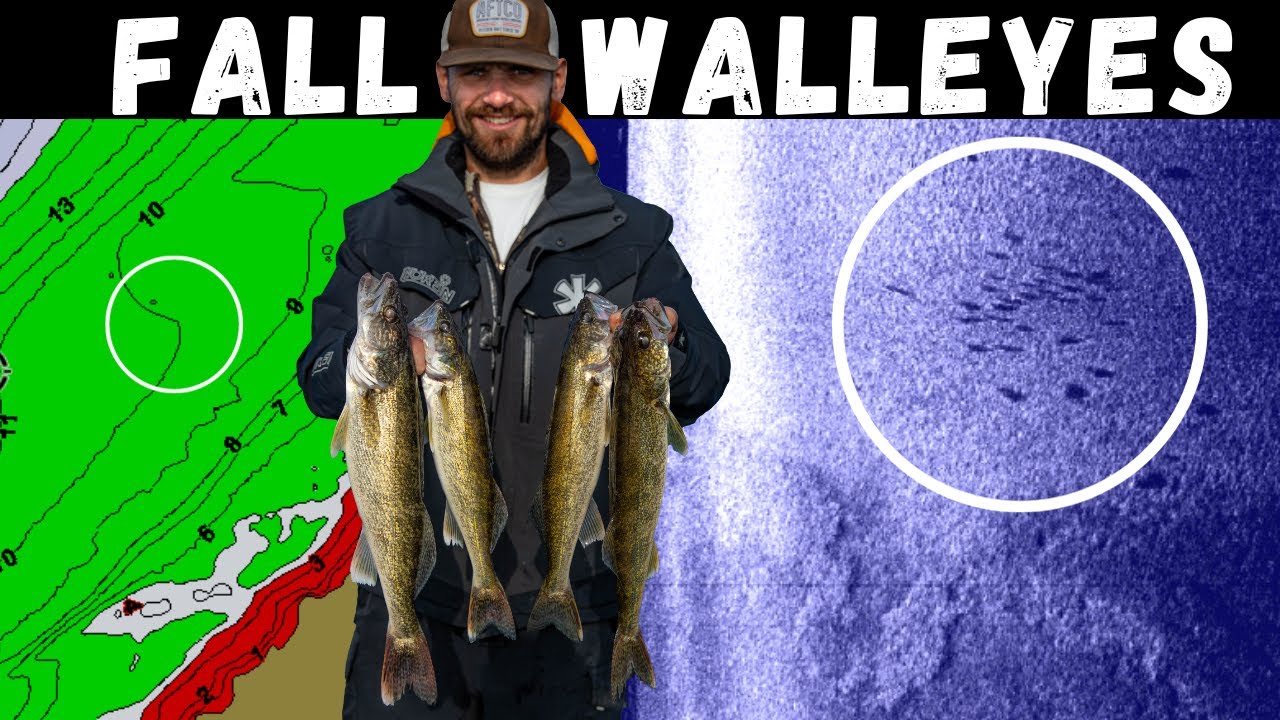 Shallow Fall Walleye Fishing - A COMPLETE Guide | Locations, Tips ...