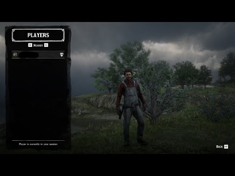 How to Join a Private Lobby On RDR2 PC - YouTube