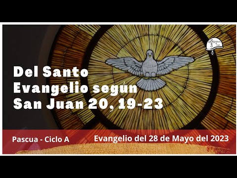 📖 Evangelio del 28 de Mayo del 2023 | Del Santo Evangelio según San ...