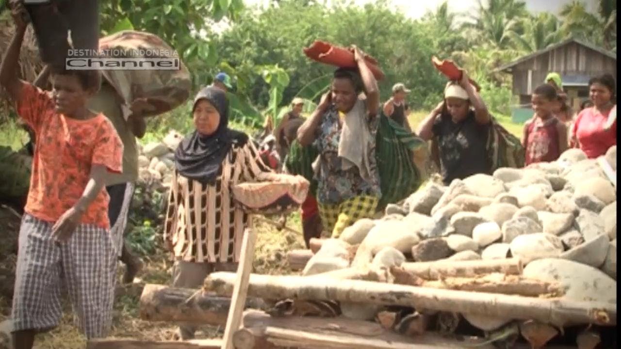 Upacara Bakar Batu Papua - YouTube