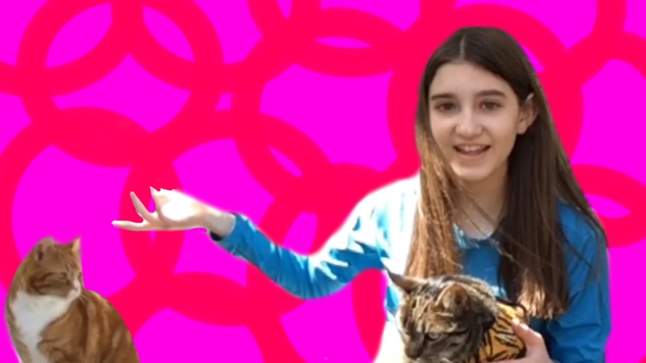 Kit-Kat & Socks 2 - YouTube