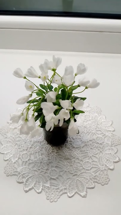 Фиалка ЛЕ-Принцесса Лея #фиалки #минифиалки #flowers #комнатныерастения ...