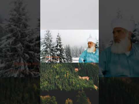 Böyle Çarşaflı Kadınlar Cehenneme Gidecek Timurtaş Hoca