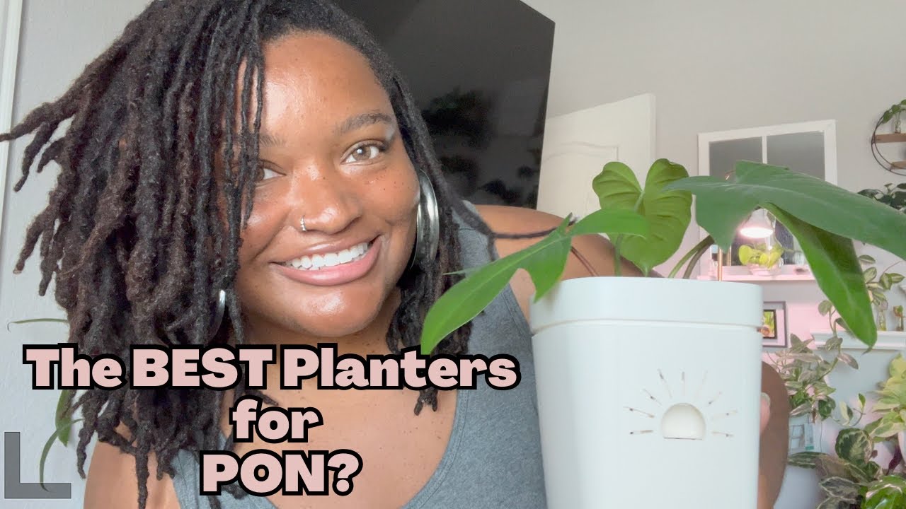 NO MORE ROOT ROT! | Repotting my Monstera Albo in Naked Root Planters ...