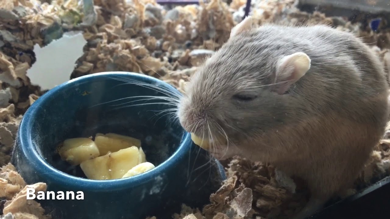Snacks with Sluggy - YouTube