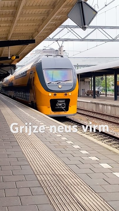 Grijze neus virm vertrekt van station Alkmaar #music #newmusic #dance # ...
