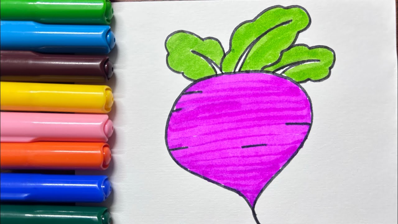 How to draw a turnip step by step | Vegetable drawing for beginners ...