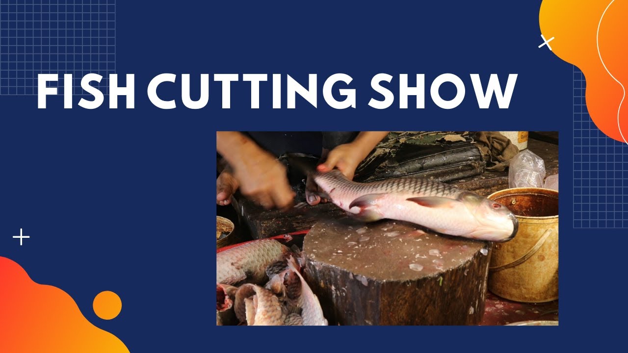 We try to inform how to fillet fish, fillet fish Ι Ι Natural Fish ...