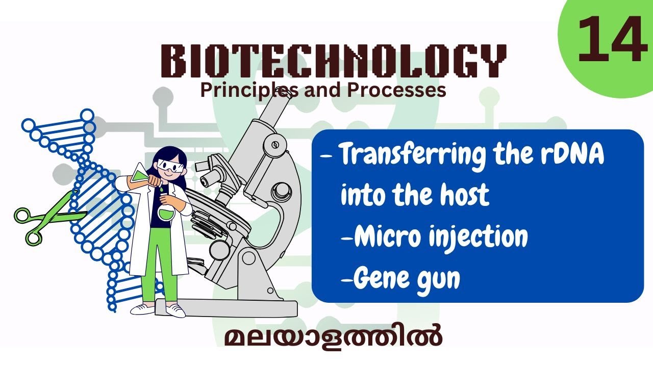 Transferring the recombinant DNA into the host | MICRO INJECTION, GENE ...
